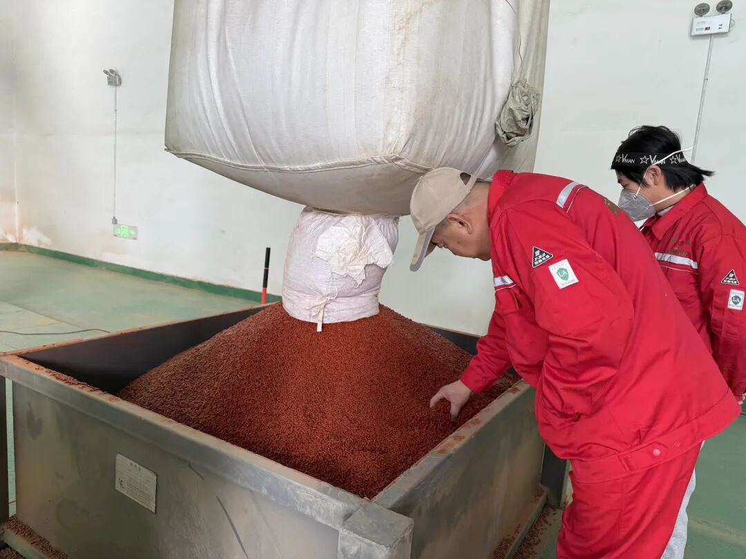 小辣椒串起八团塔门镇富民强团“幸福链”_浙江援疆网